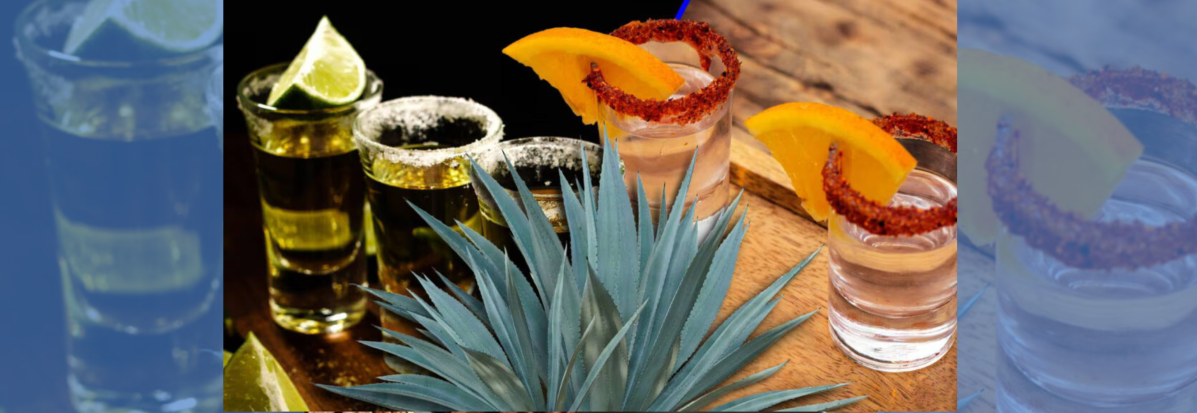 Celebre Cultura e Tradição: O Dia Nacional da Tequila – Em Todo Lugar